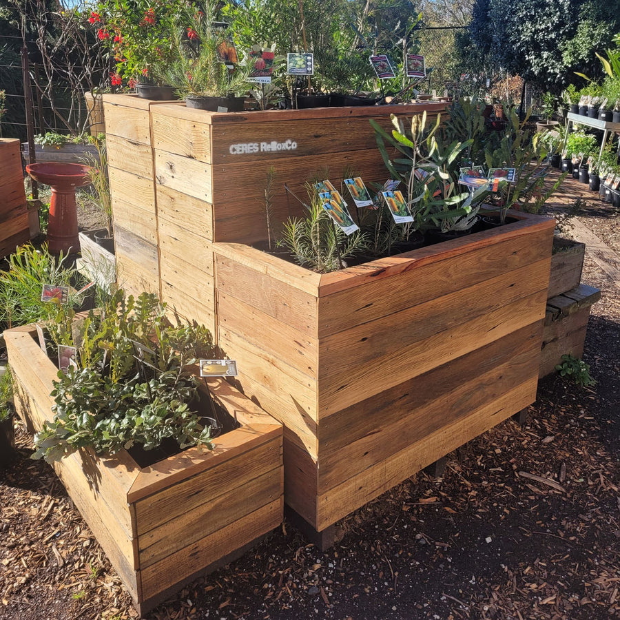 Large ReBoxCo Sustainable Planter Boxes in Melbourne | CERES Fair Wood